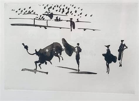 Museo Dei Picassi Fotografia Editoriale Immagine Di Limite 264227842