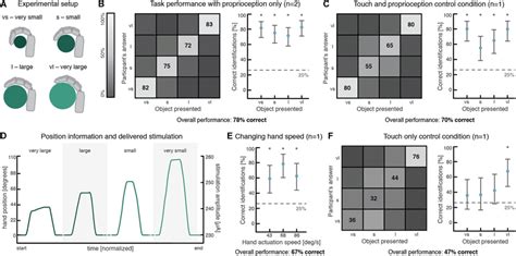 Identification Of Object Size A Schematic Representation Of The Four Download Scientific