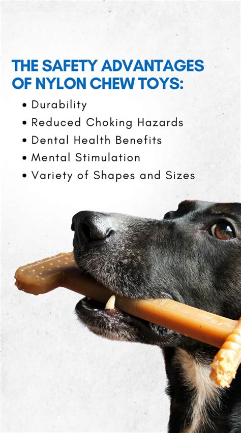 Evolution Of Dog Toys From Ancient Playthings To Modern Nylon Chew Toys Bullibone