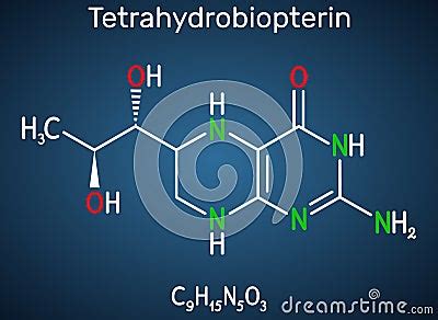 Tetrahydrobiopterin Bh4 Thb Sapropterin Molecule It Has Role As