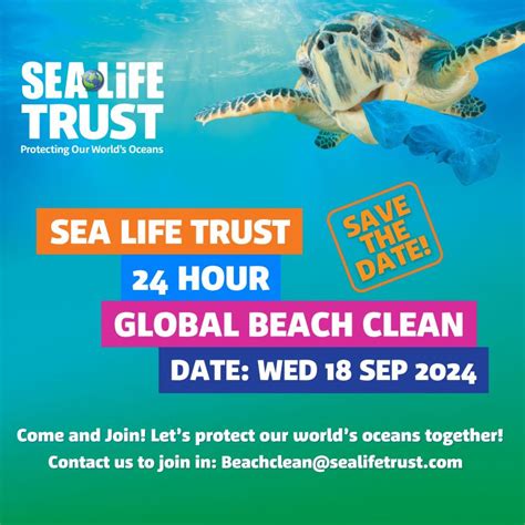 Sealifetrust Beachclean Sustainability Merlinentertainments