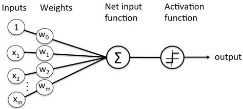 A Brief Explanation Of What Is A Perceptron In Javascript Js Craft