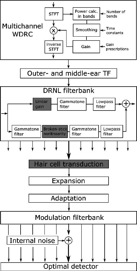 Structure Of The Casp Model Jepsen And Dau 2011 With The Download Scientific Diagram