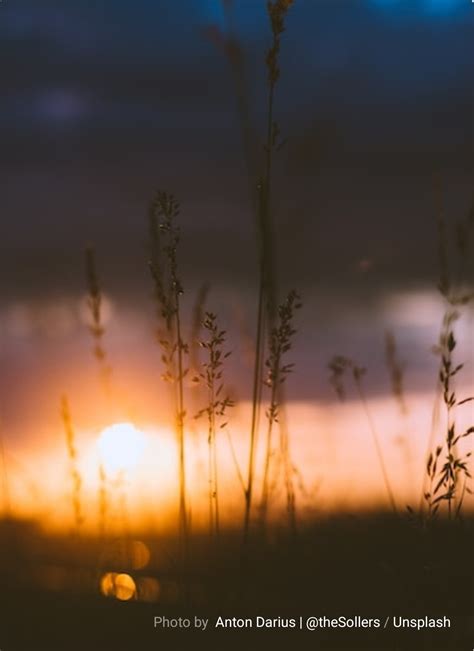 29화 당신에게 물들어갑니다