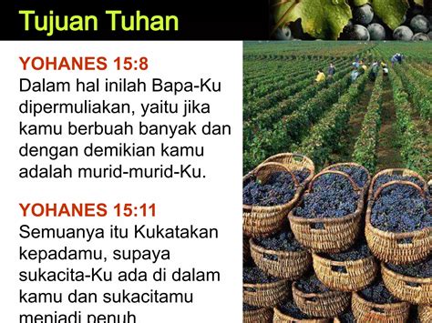 Hidup yang Berbuah | PPTX