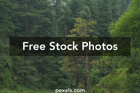 Mandi Telanjang Photos Download The Best Free Mandi Telanjang Stock