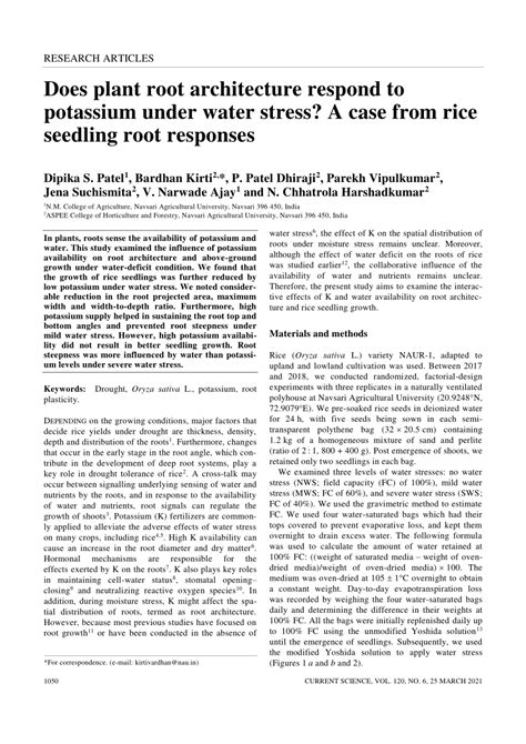 Pdf Does Plant Root Architecture Respond To Potassium Under Water Stress A Case From Rice