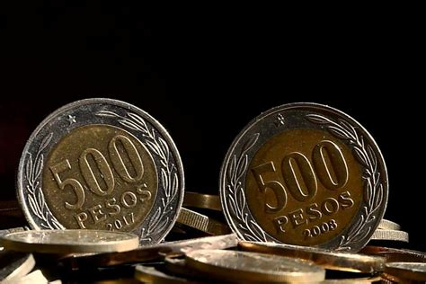 ¿por Qué En Las Monedas De 500 De Colombia Ahora Está Plasmada Una Rana