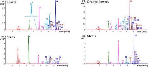 Hplc Ms Ms Separation Of Monitored Compounds Present In Different Parts Download Scientific