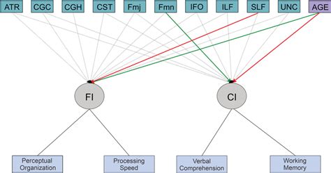 A Regularized Mimic Model Of The Relationship Between Two Latent Download Scientific Diagram
