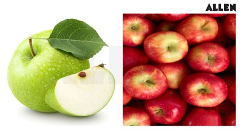 True Fruit Classification And Faqs