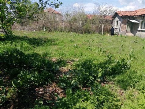 Къща с дка двор в с Отец Кирилово Едноетажна къща 61 кв м РЗП 908 кв м двор Къщи Вили