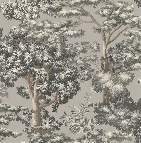 Archive Tree Grey Natural Wallpaper In 2023 Tree Wallpaper Grey Tree Wallpaper Tree