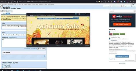 Weird Resolution Scaling In Zorin Os Rzorinos