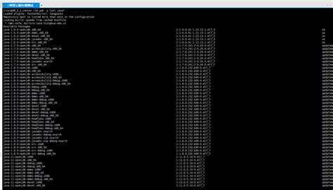 Linux系统下安装JDK及环境配置 Mr 伍先生 博客园