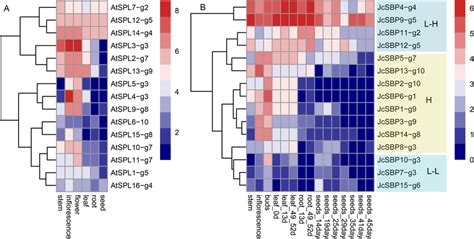 The Tissue Expression Profiles The Tissue Expression Profiles Of A