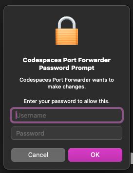 Visual Studio Code Why Codespaces Port Forwarder Asks For Password To Forward Port On