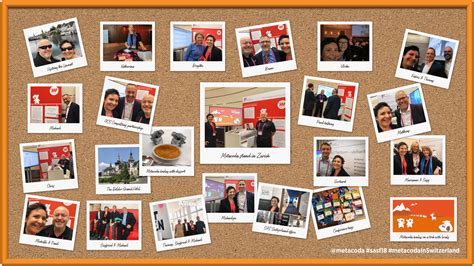 Our European Analytics Intelligence Adventure Metacoda