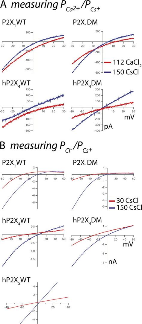 Voltagecurrent Curves Measured In Different Concentrations Of Download Scientific Diagram