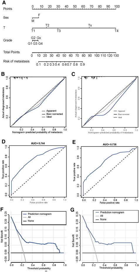 Development Calibration And Evaluation Of Model Predicting