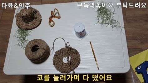 틸란드시아 요플레통으로 예쁜걸이만들기 Youtube