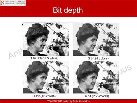 9626 Gce As Information Technology Chapter 1 Pdf