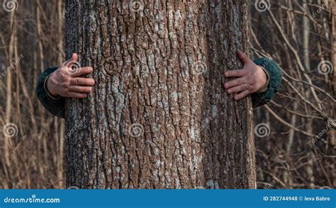 A Man S Hands Grabbed A Tree Trunk Stock Photo Image Of Nature View