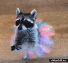 Dancing Raccoon S Tenor