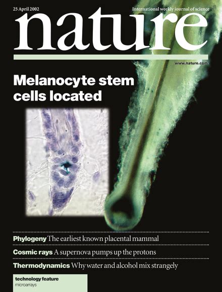 Volume 416 Issue 6883 25 April 2002