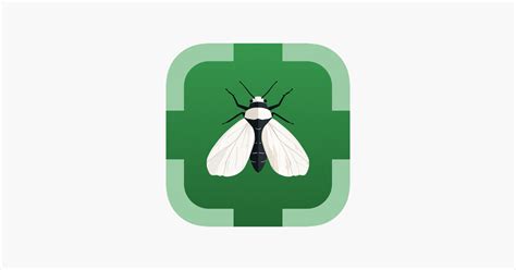‎bug Identifier And Insect Finder On The App Store