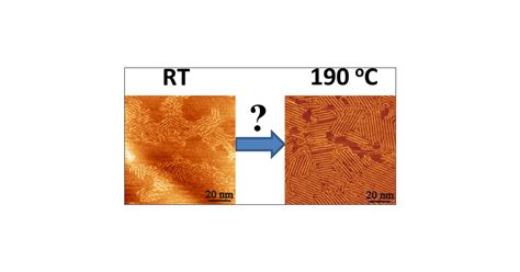 Tracking The Evolution Of Polymer Interface Films During The Process Of Thermal Annealing At The