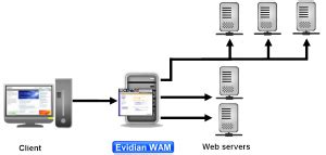 What Is The Web SSO Evidian
