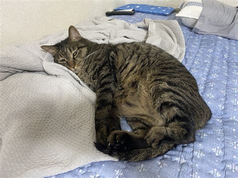 강지팀 1승해서 기분 좋으니까 1장 치지직 에펨코리아