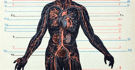 PFAS The Forever Chemicals Explained By A Chemist Vox