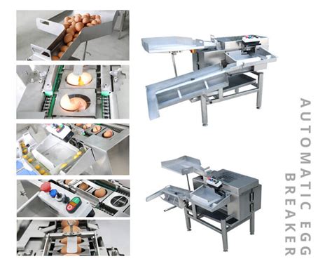 Small Automatic Egg Breaker Machine Egg Processing Machines Supplier