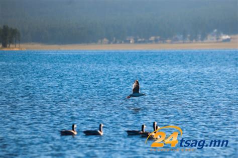 Дэлхийн усны өдөр тохиож байна