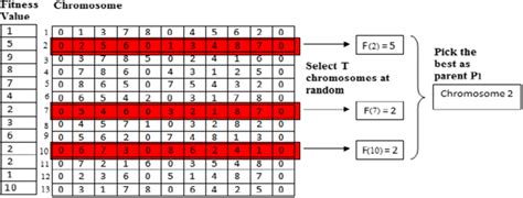 example of tournament selection method download scientific diagram