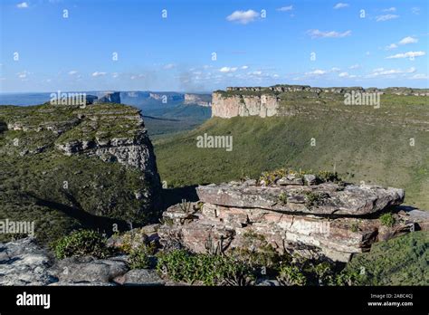 Cerrado Landscape Of The Chapada Diamantina National Park Parque