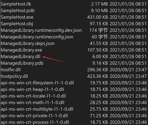 The Sample Can Not Run Well And It Prints Coreclrcreatedelegate