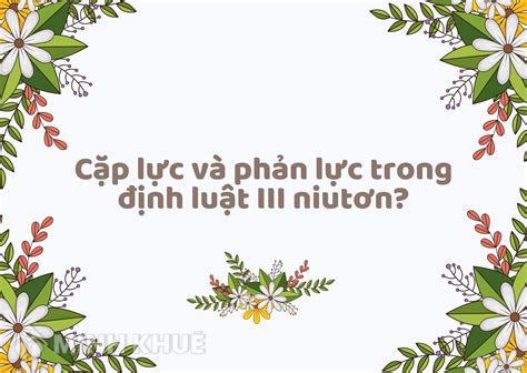 Tổng Quan Về định Luật Newton 3 Và Các ứng Dụng Trong đời Sống
