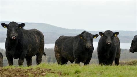 Genomics Training Courses To Start Next Week Agrilandie