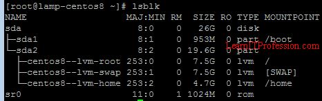 How Create And Delete GPT Partition With LVM On CentOS Linux