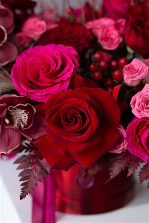 Download Vertical Background