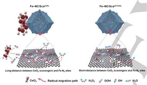 厦大孙世刚团队angew ：ceo2纳米颗粒 自由基清除剂！ 知乎