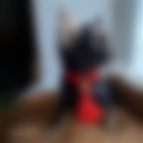 малыш Рей готов переехать в новый дом Привит клеймо документы ВКонтакте