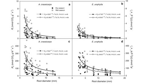 Relationship Between Root Diameter D R Mm And Root Respiration Per