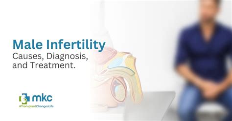 Male Infertility Causes Diagnosis And Treatment Mkc