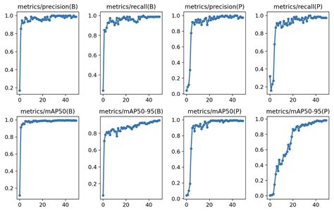Whats The Difference Between B And P · Issue 2281 · Ultralytics
