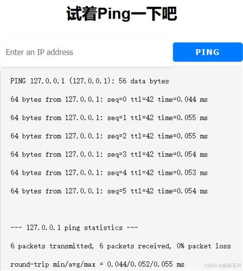 Litctf 2023 Ping Csdn博客