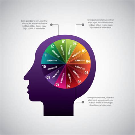 Age Progression Sequence Illustrations Royalty Free Vector Graphics